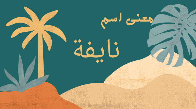 Ibn Sirin의 꿈에서 Nayfa라는 이름을 보는 가장 중요한 20가지 해석 - 꿈의 해석